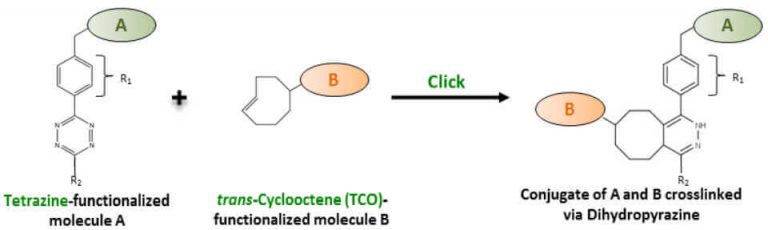 Click Chemistry reagents from Jena Bioscience