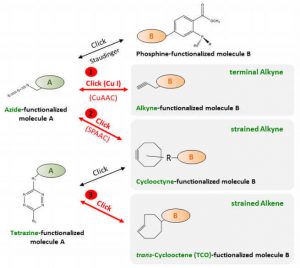 Click Chemistry reagents from Jena Bioscience