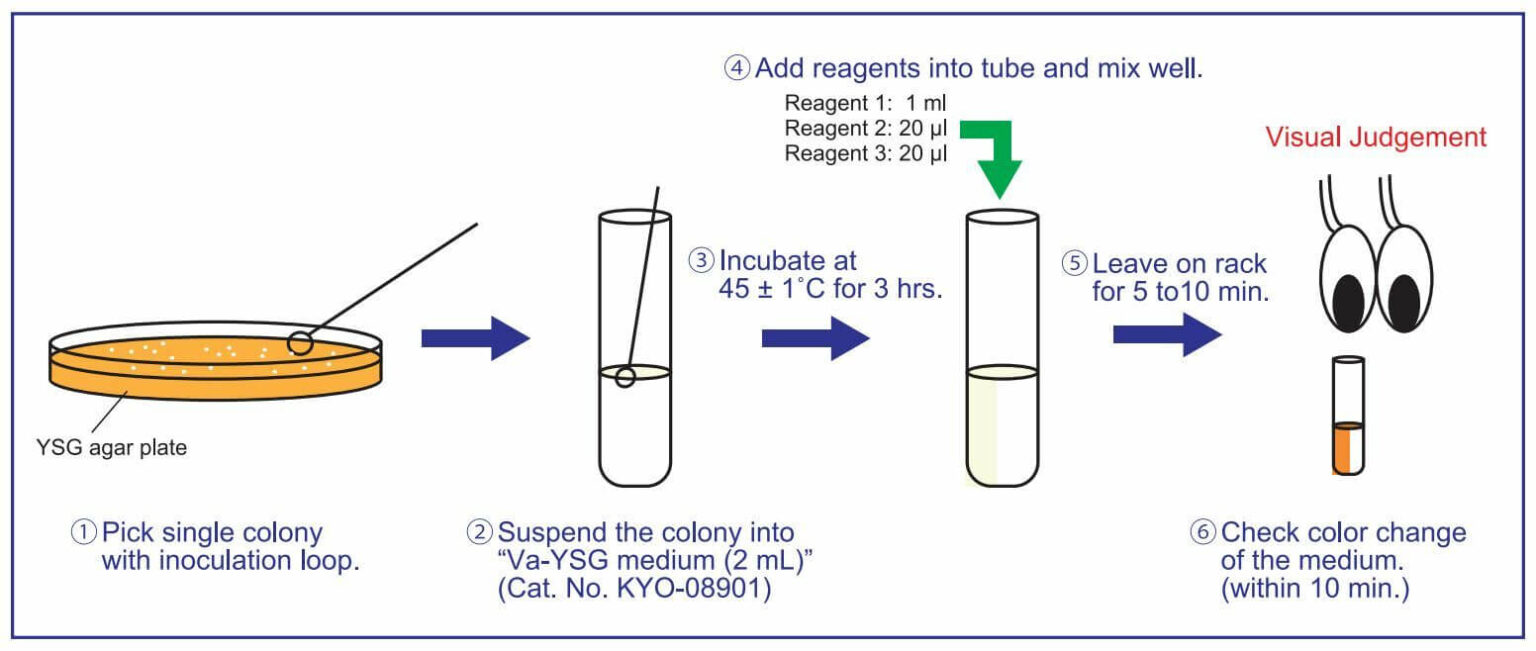 Products for TAB isolation and guaiacol detection by Cosmo Bio