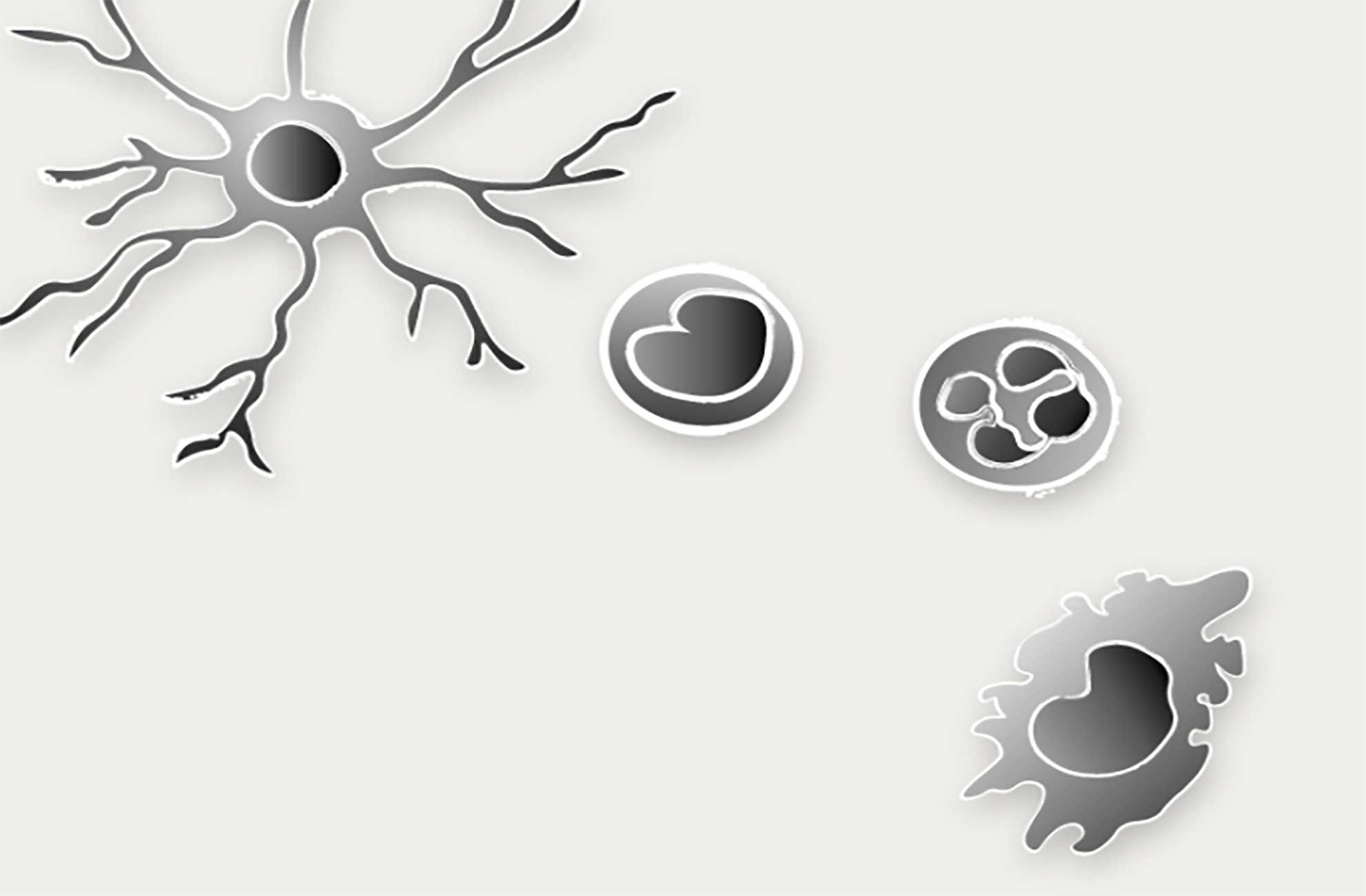 Stay up to date with our latest scientific news | Bio-Connect