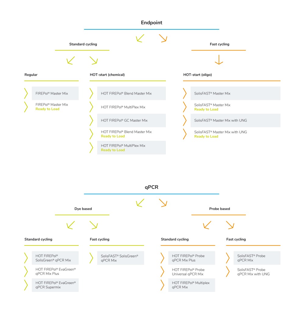 PCR vs qPCR aka endpoint or real-time | Solis BioDyne