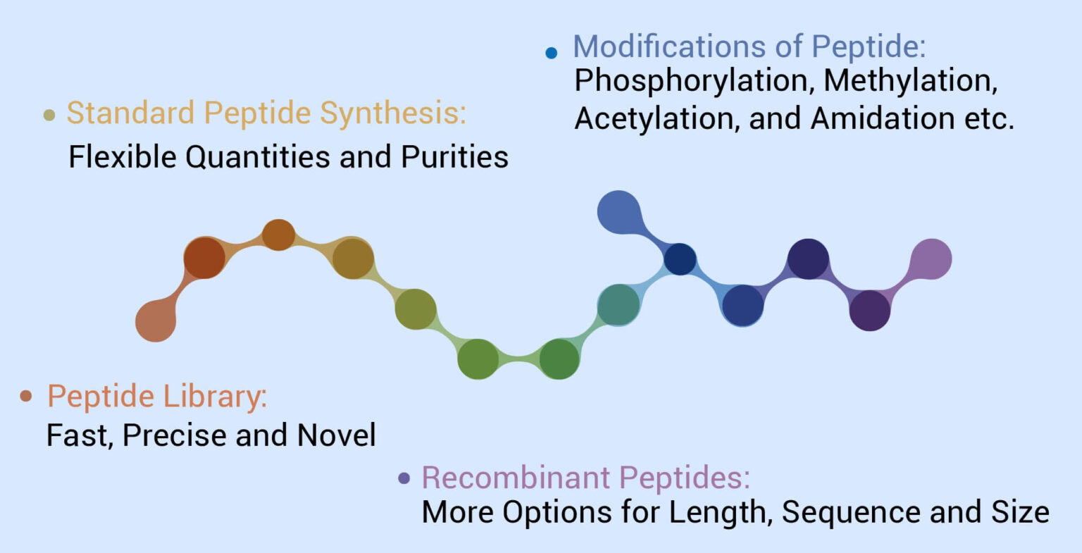 Custom peptide synthesis services by MedChem Express