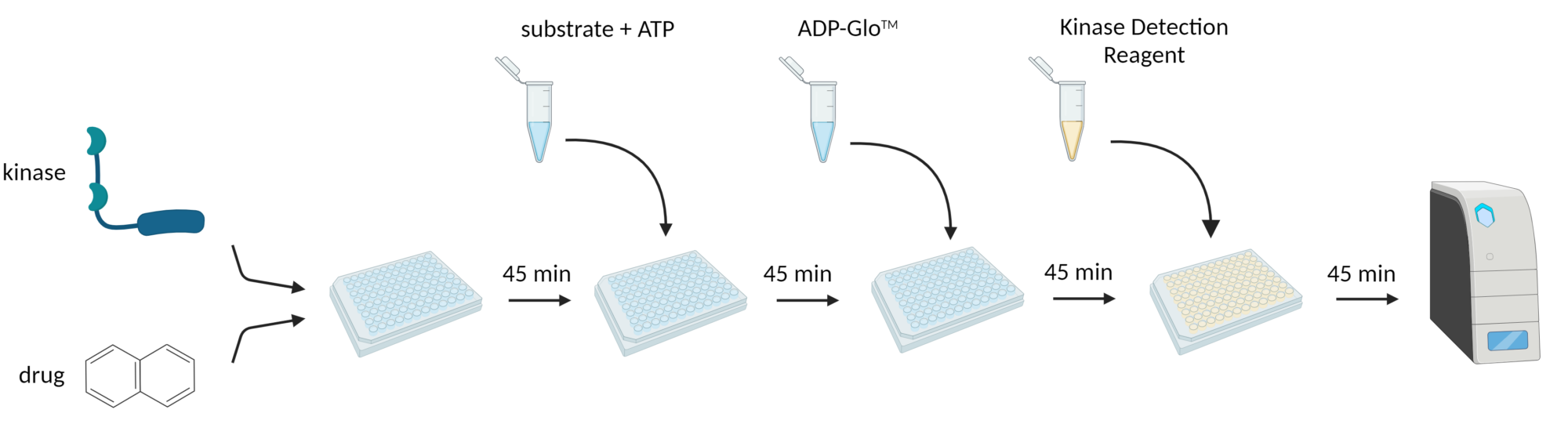 Off-the-shelf kinase knockout screening solutions