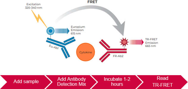 3 Reasons Why the THUNDER™ Human Cytokine Assay Kits are the Best TR-FRET Kits on the Market ...
