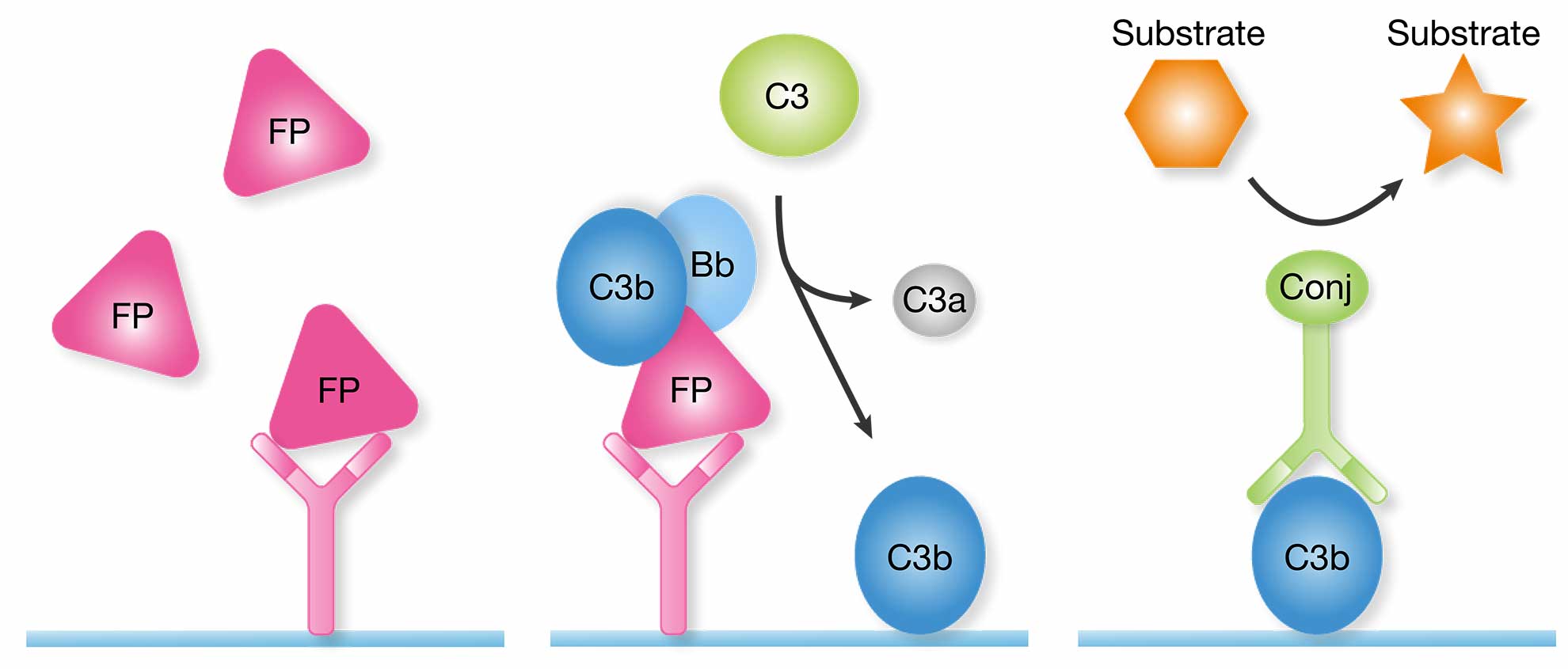 Svar Life Science launches new Factor P Assays