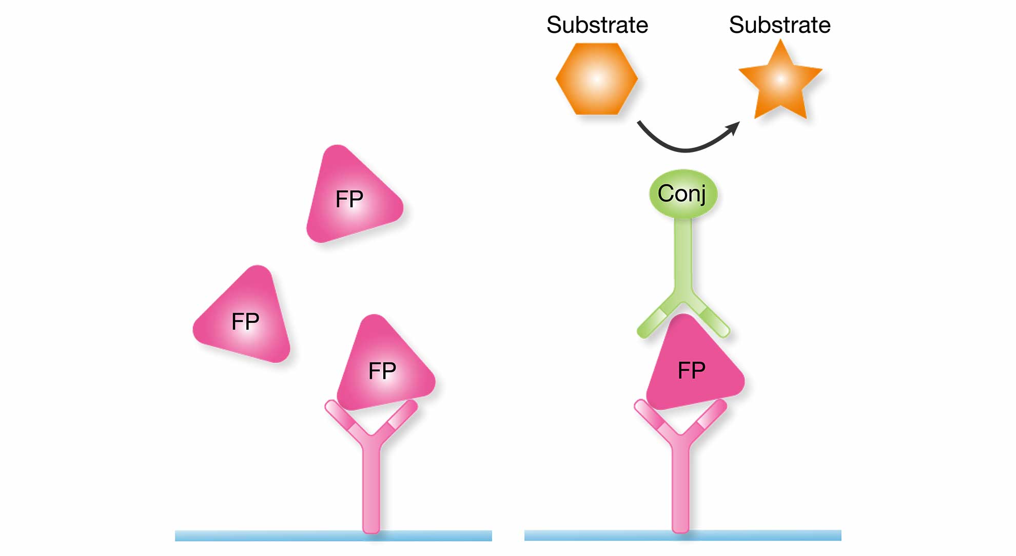 Svar Life Science launches new Factor P Assays