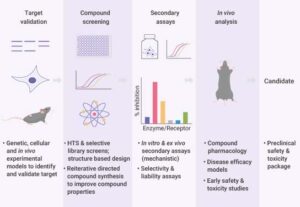 Diversity Compound Libraries for early drug discovery
