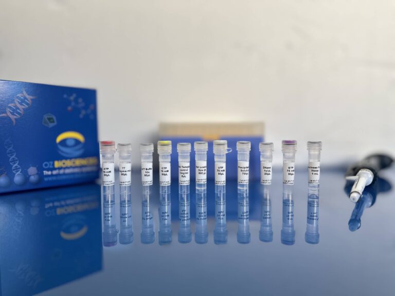 OZ Biosciences introduce their new mRNA production kits - Bio-Connect