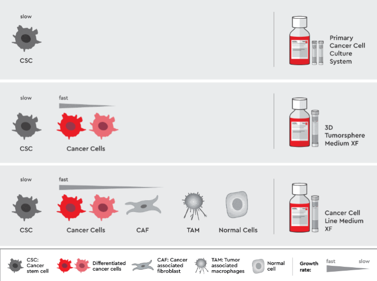 PromoCell’s Cancer Cell Culture portfolio - Bio-Connect