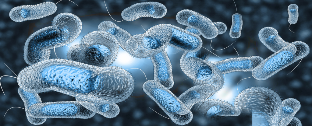 Bacterial Toxins and Toxoids from List Labs - Bio-Connect